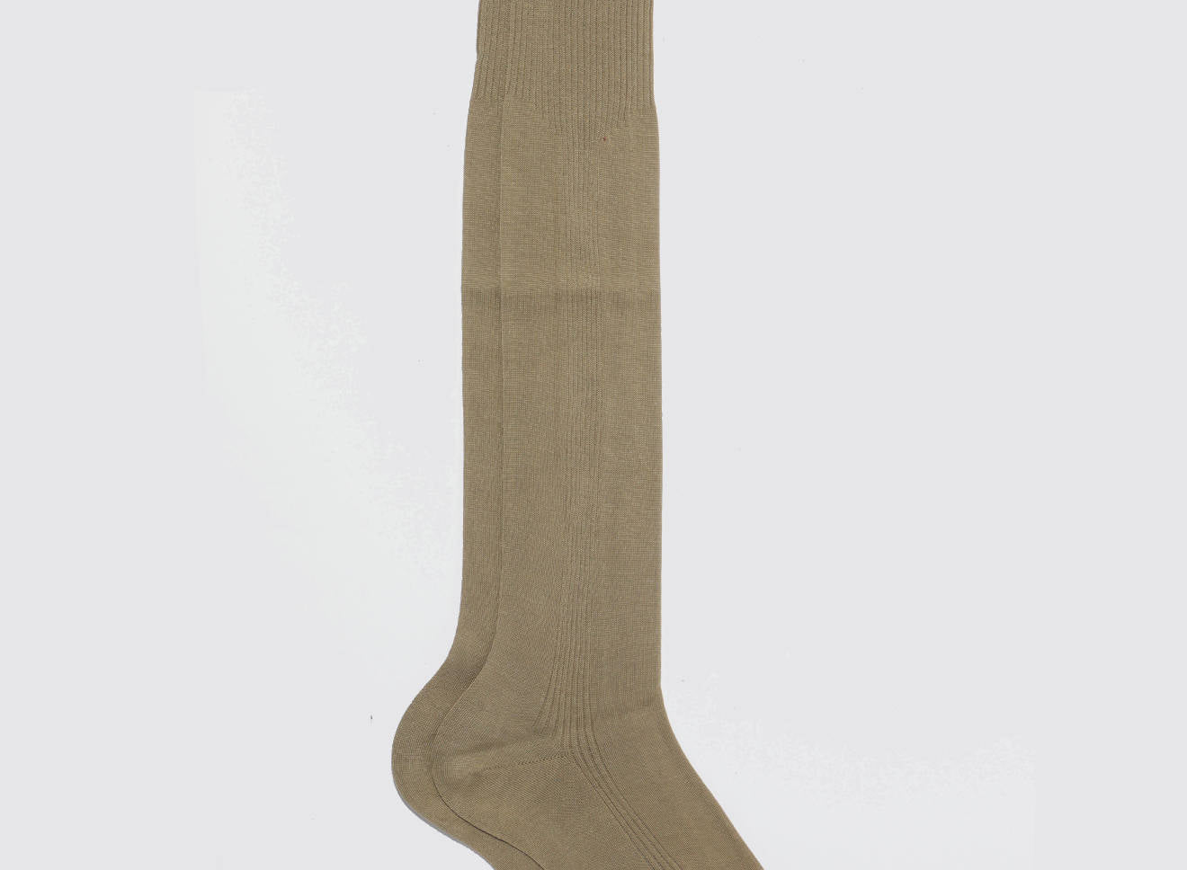 WG009LI0323 – MARIA LA ROSA